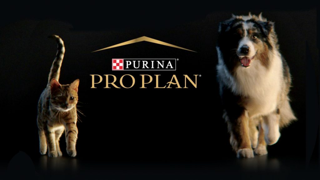 Purina Pro Plan’ın yeni reklam filmi yayında!